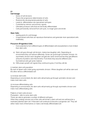 Enzyme Gizmo Student Exploration - Student Guide: Enzymes - AP STEM ...
