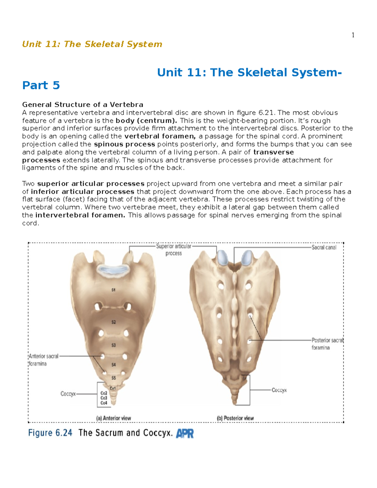 Unit 11-Skeletal System - Part 5 - Unit 11: The Skeletal System Unit 11 ...
