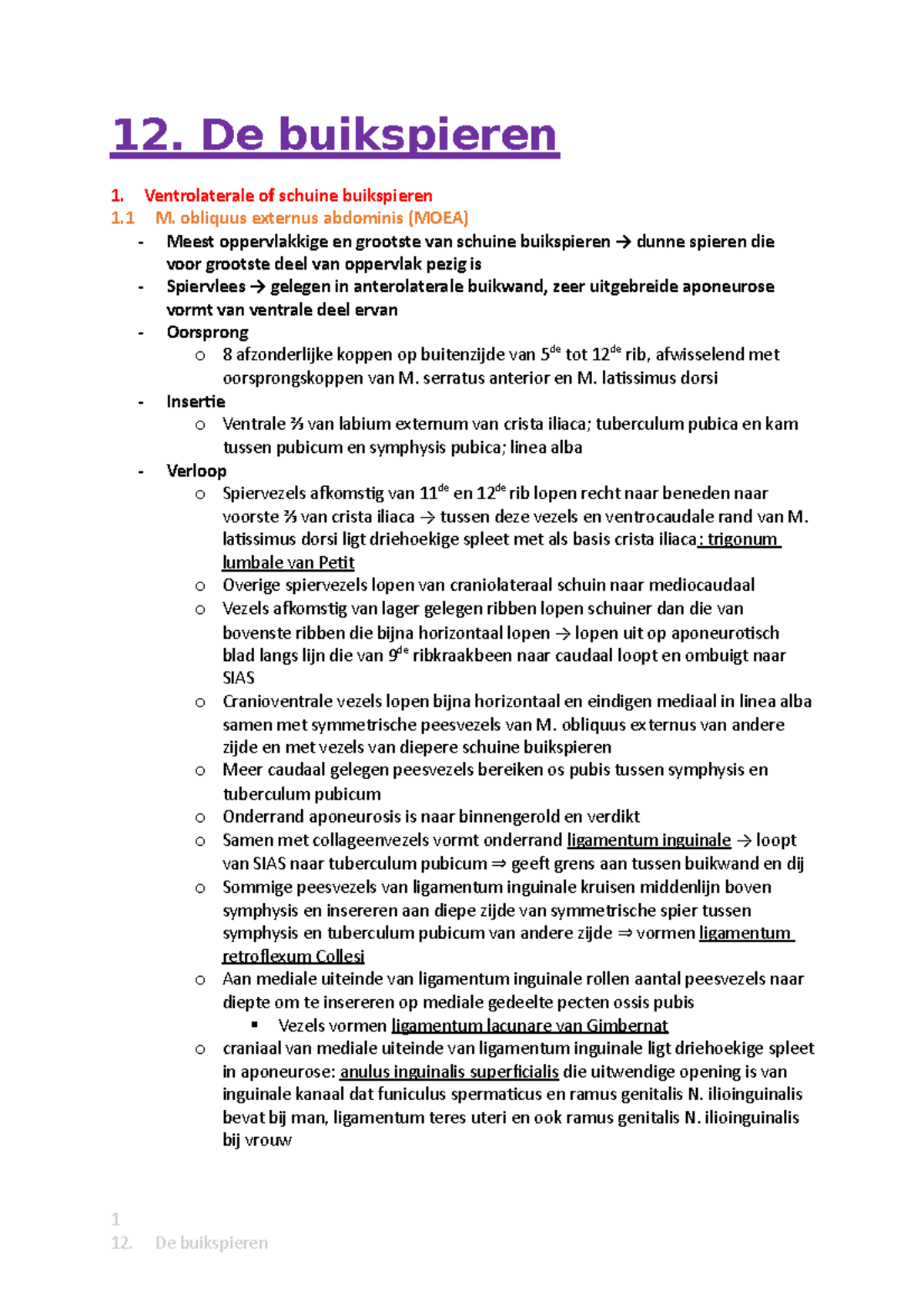 12. De buikspieren - Boek - Functionele anatomie: extremiteiten en romp ...