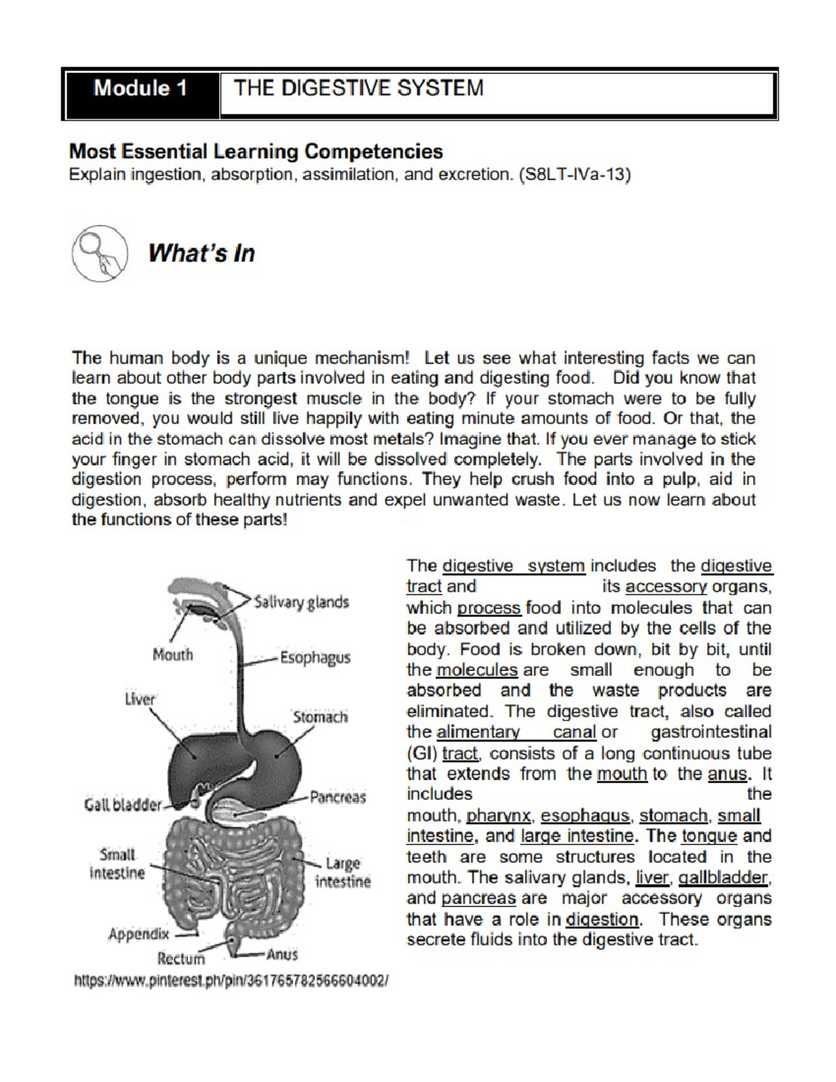 Module-4 - Physical Education - ACTIVITY 4. ACTIVITY 4. - Studocu