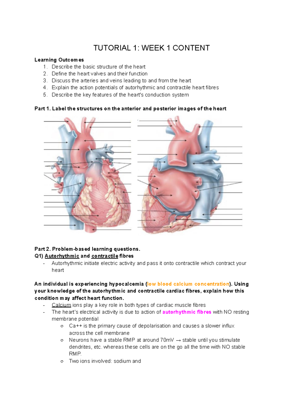 Biomedical Science Part 2 Tutorial Notes - TUTORIAL 1: WEEK 1 CONTENT ...