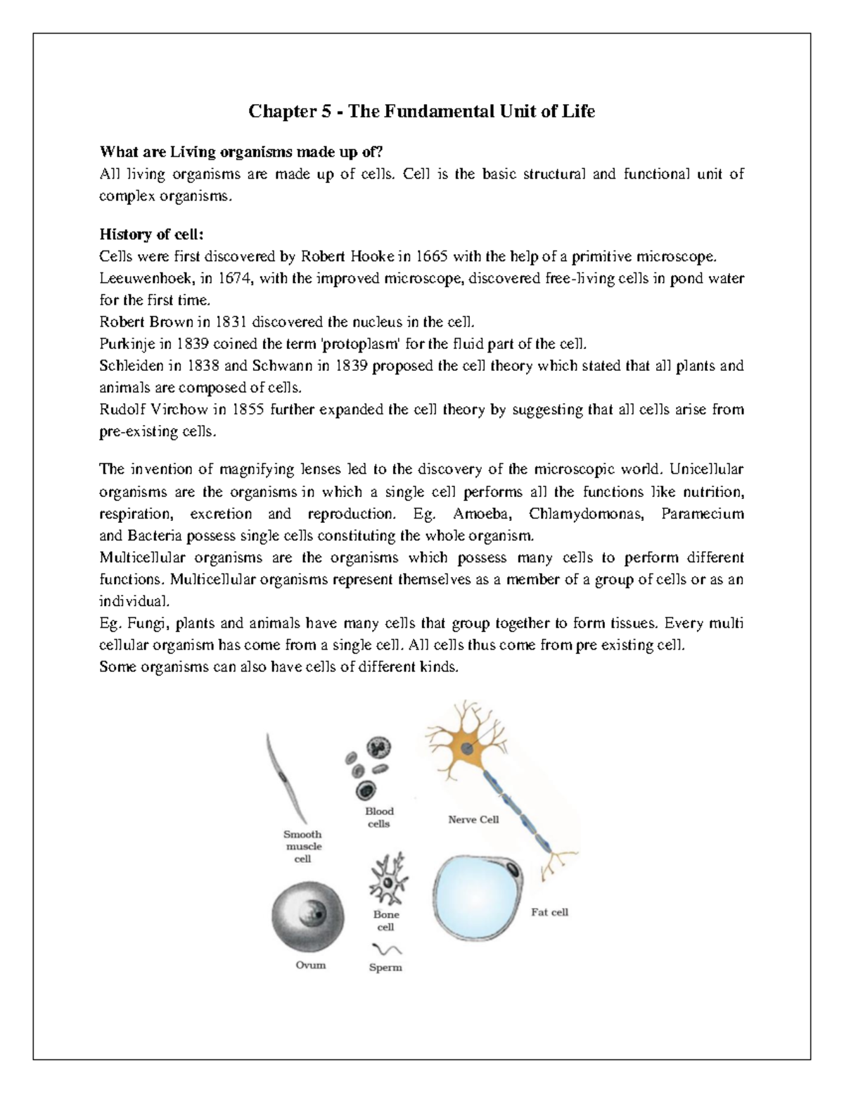 Chapter 5 The Fundamental Unit Of Life Revision Notes - Chapter 5 - The ...