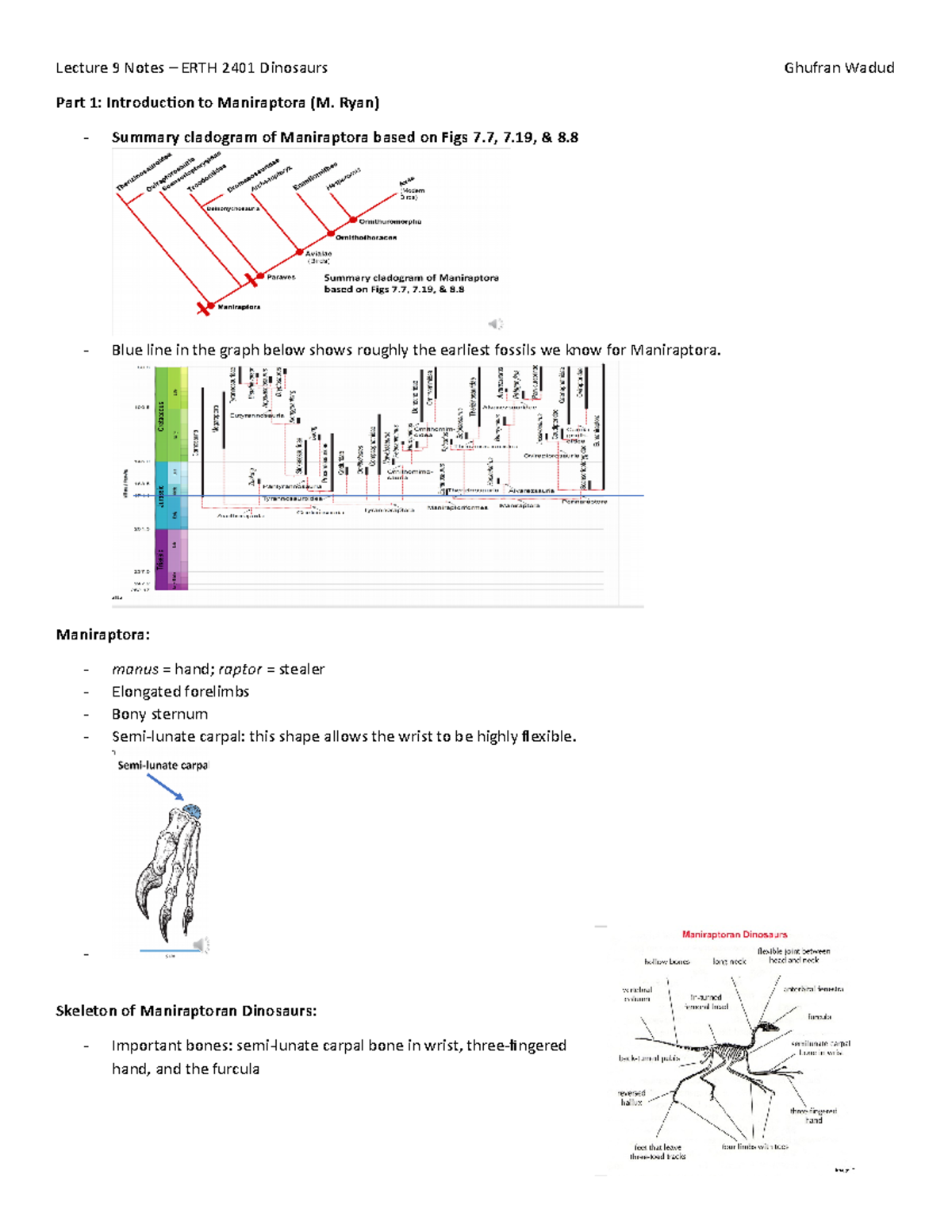 Lecture 9 Notes: Maniraptora and Origin of Flight - Lecture 9 Notes ...