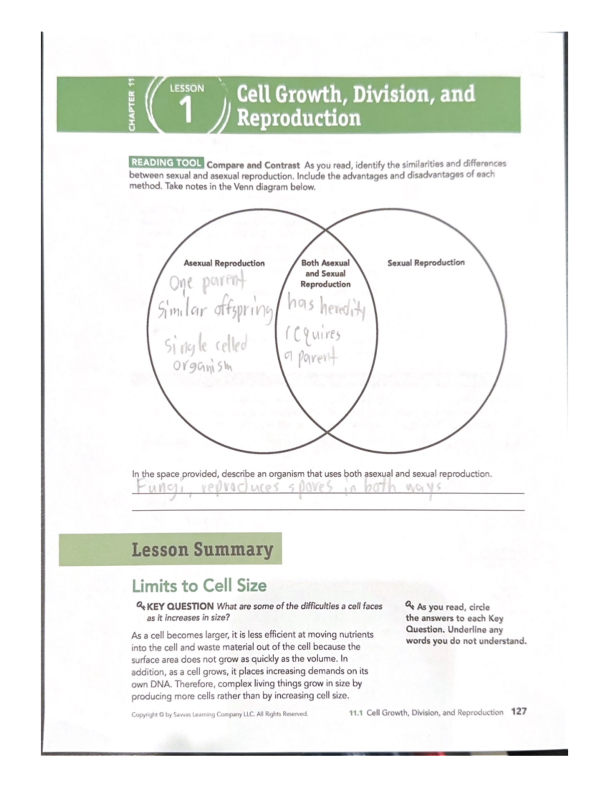 chemistry unit 5 - LESSON 1 Cell Growth, Division, and Reproduction ...