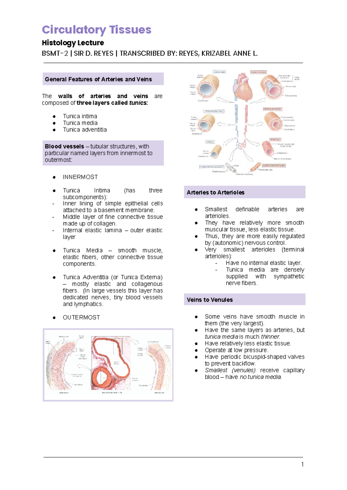 Circulatory Tissues - Histology Lecture BSMT-2 | SIR D. REYES ...