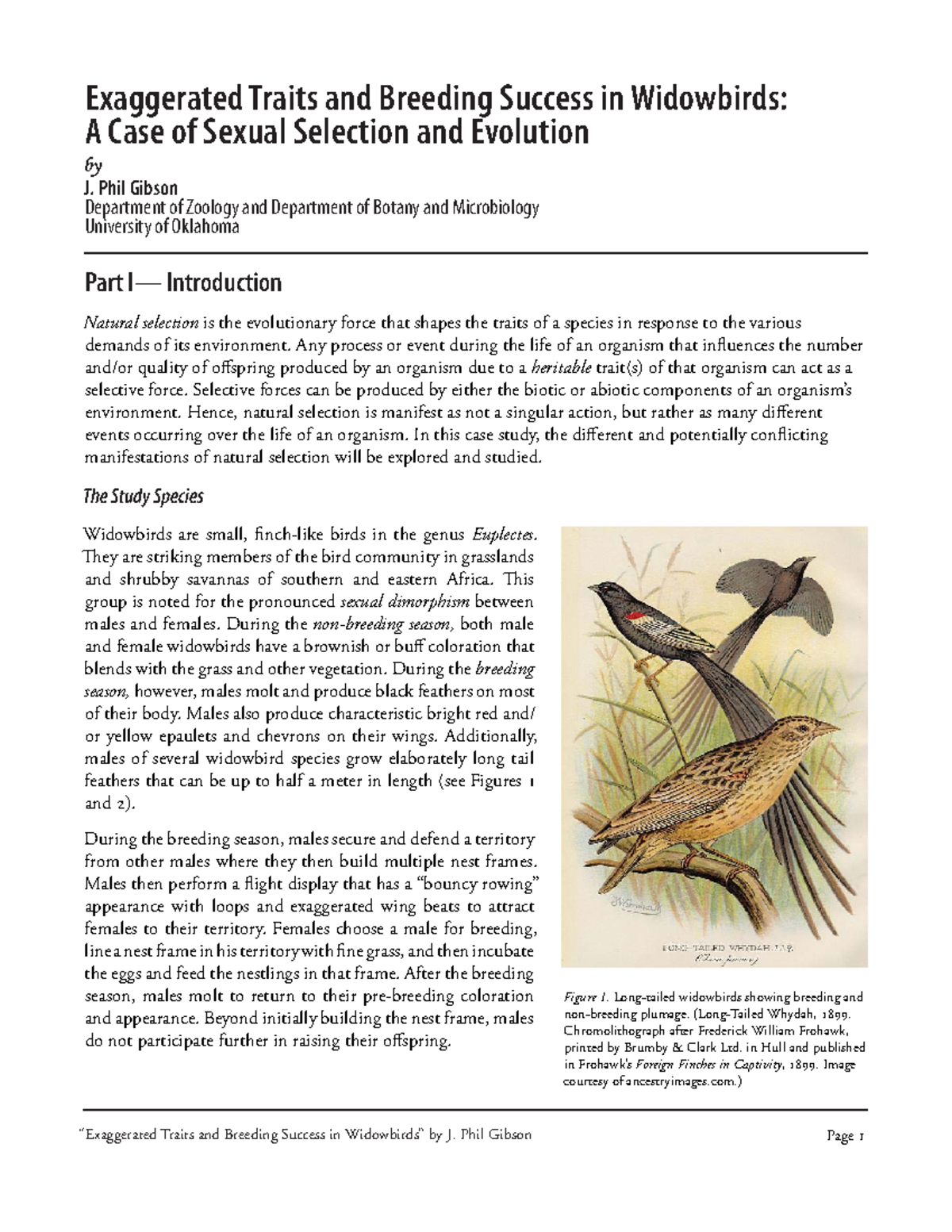 Handout Widow Bird Case Study on Sexual Selection - “Exaggerated Traits and Breeding Success in ...