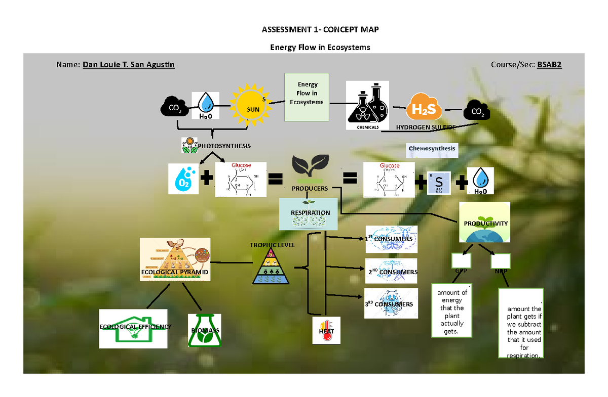 Done Assessment 1 Concept MAP TO BE Continued - ASSESSMENT 1- CONCEPT ...