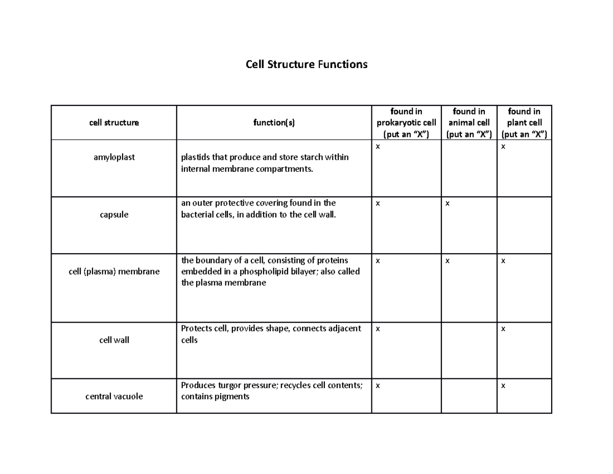 Cell Structure Functions Table - Cell Structure Functions cell structure function(s) found in ...