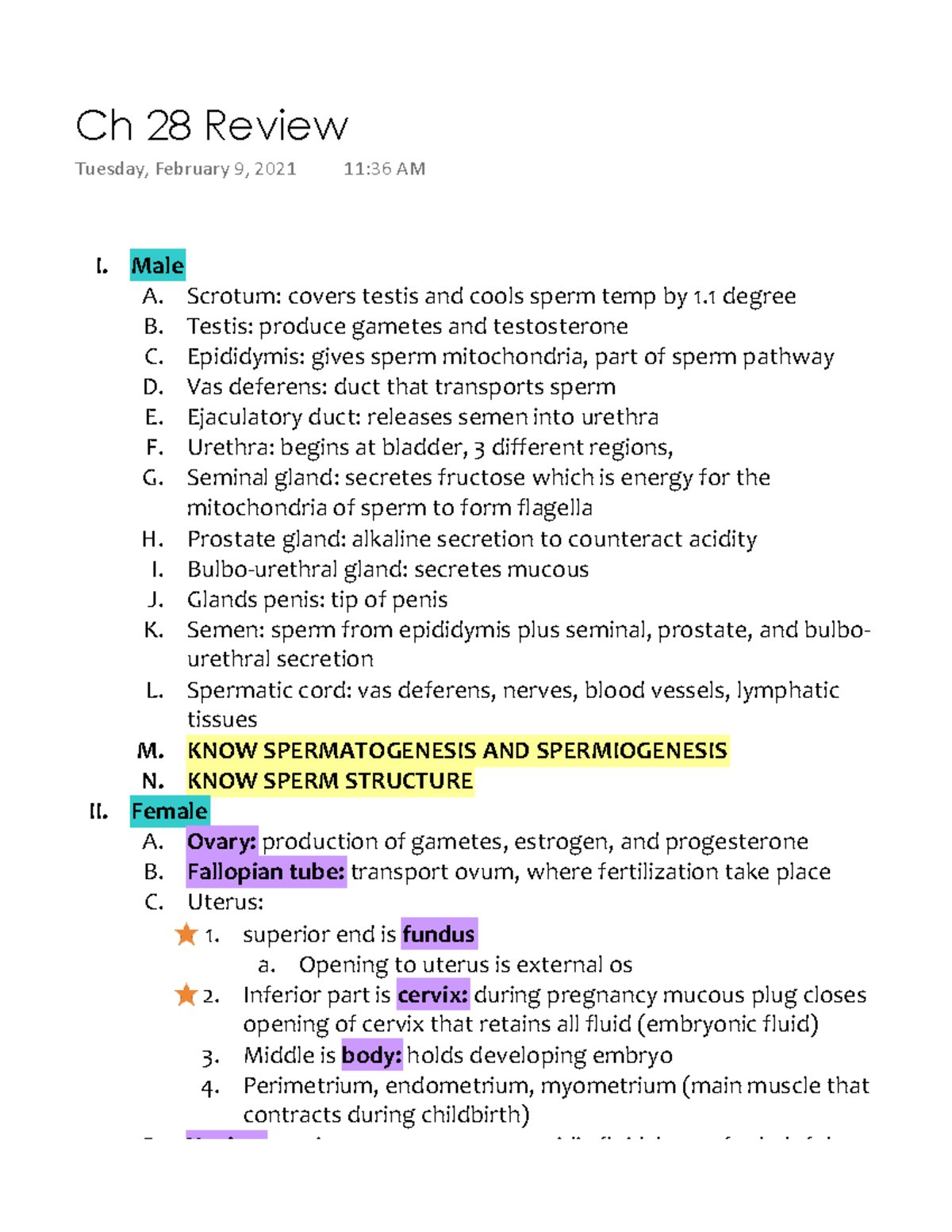 Ch 28 Reproductive System Review - Male A. Scrotum: covers testis and ...