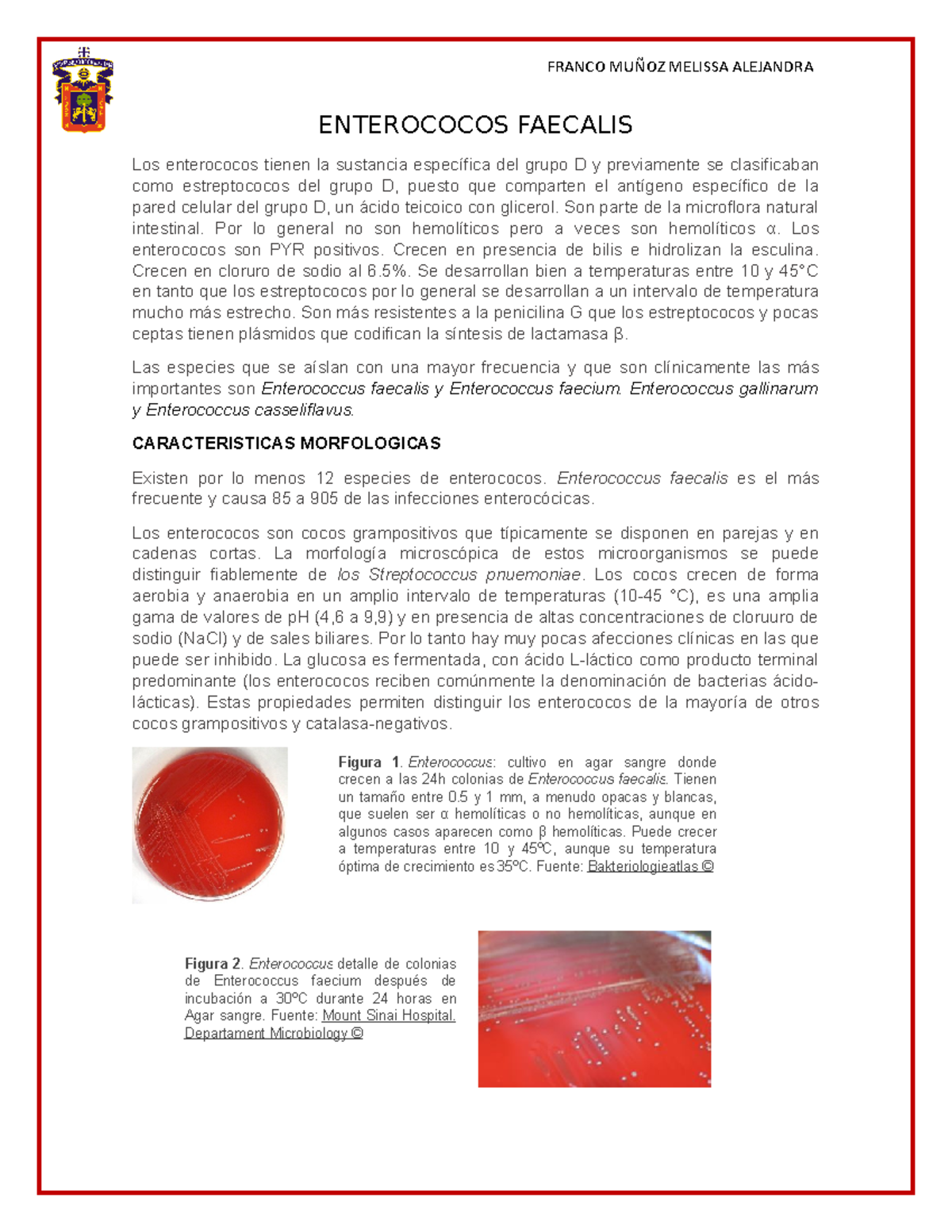 Enterococos Faecalis - ENTEROCOCOS FAECALIS Los enterococos tienen la sustancia específica del ...