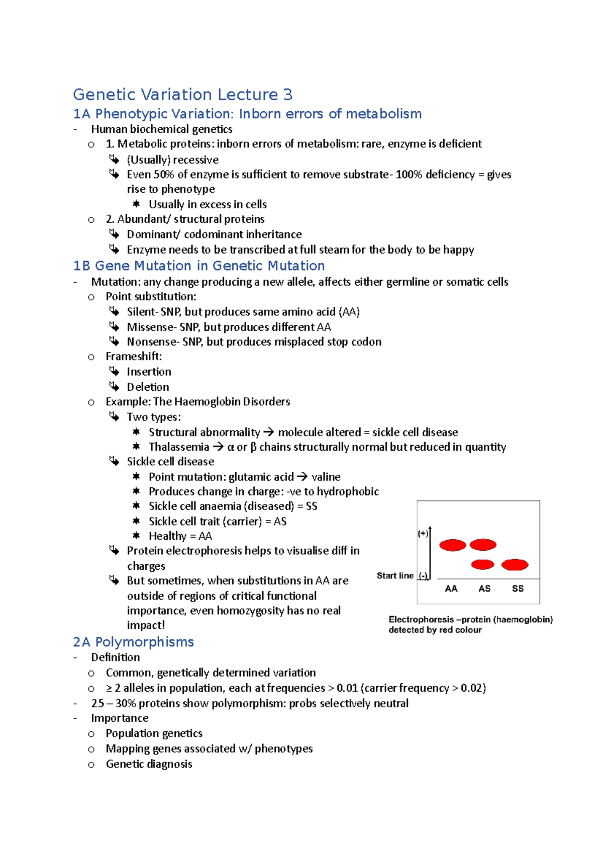 BIOL0010 Genetic Variation Lecture 3 - Genetic Variation Lecture 3 1A ...