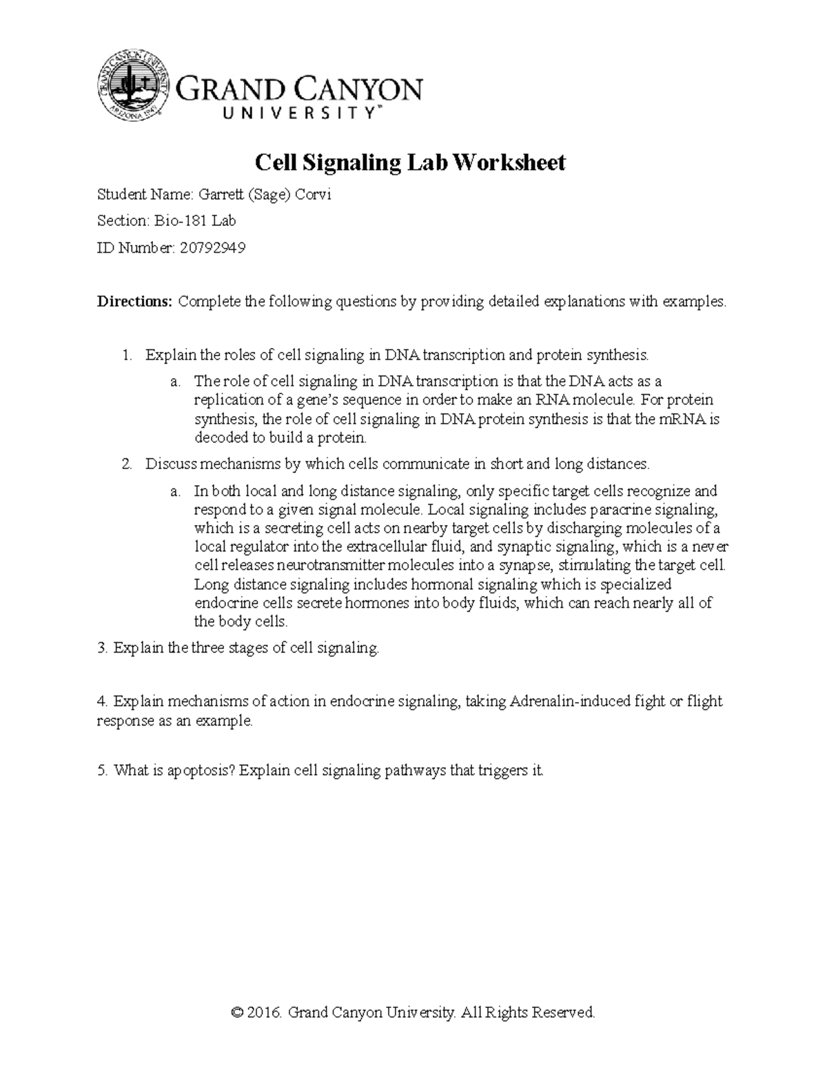 Cell Communication Worksheet - Cell Signaling Lab Worksheet Student ...