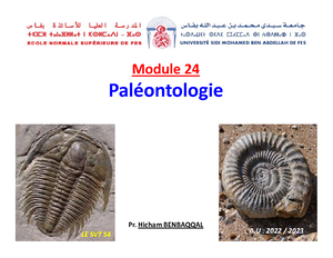 TD stratigraphie STU4 - Exercice 5: Fig 1 : Une transgression est une ...