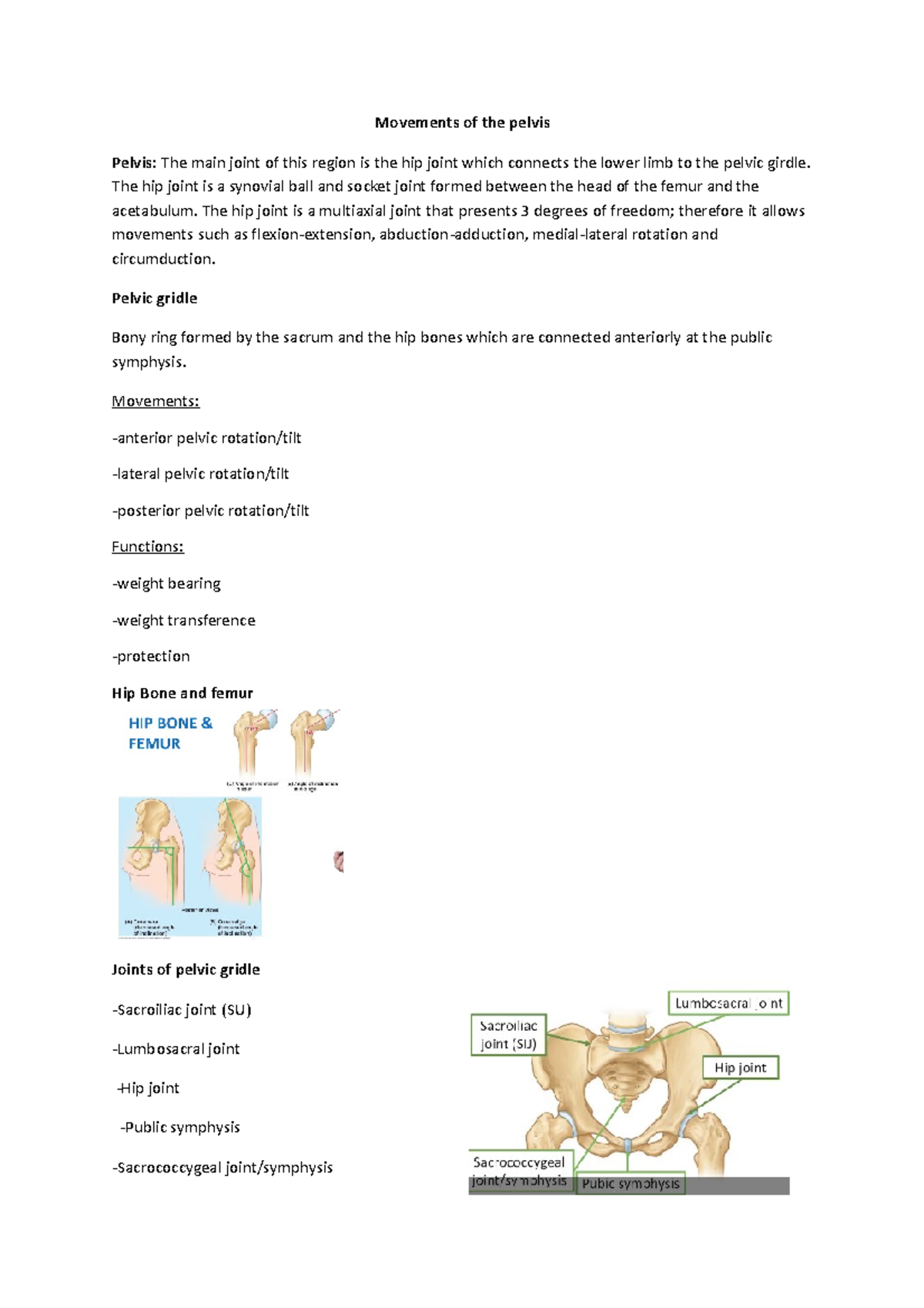 Week 2 movements of the pelvis - Movements of the pelvis Pelvis: The ...
