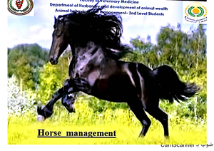 Lec3 drive and motivation - Animal behavior - Studocu