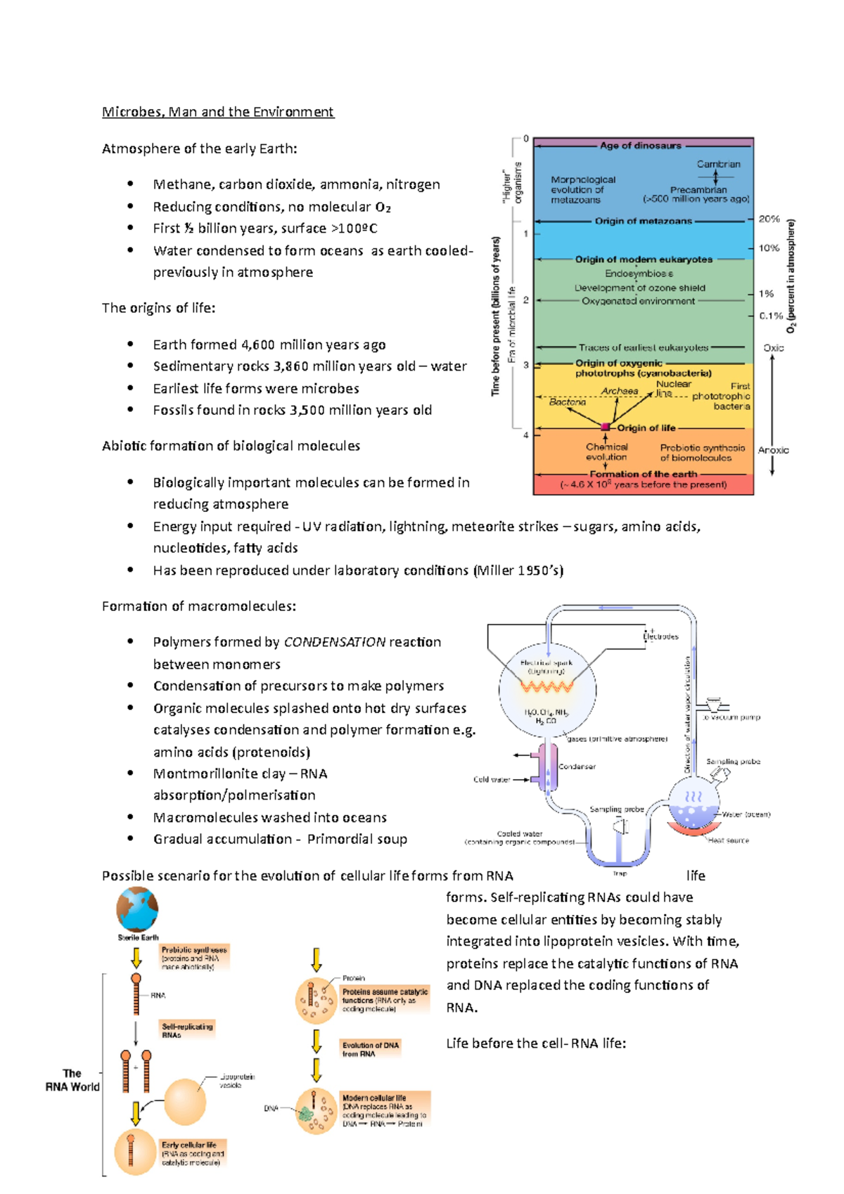 Microbes - amino acids (protenoids) Montmorillonite clay – RNA ...
