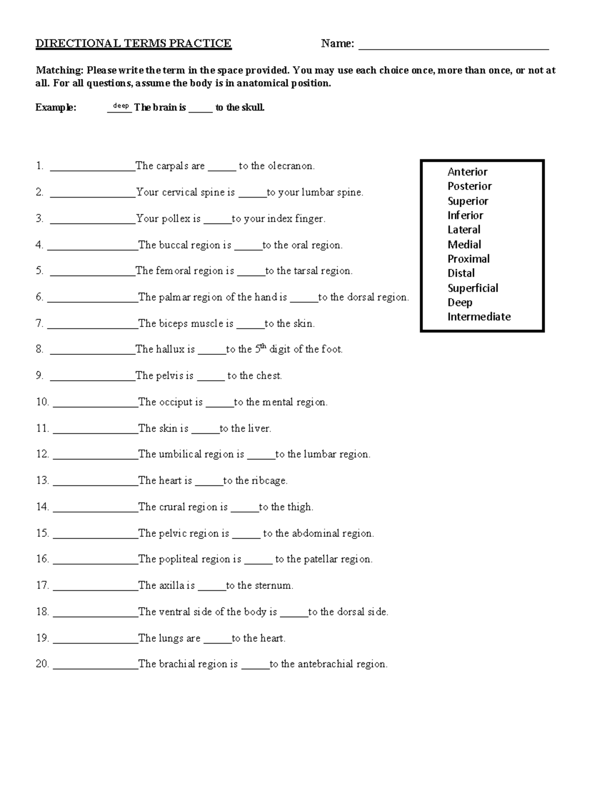 Annotated-Directional%20Terms%20Assignment - DIRECTIONAL TERMS PRACTICE ...