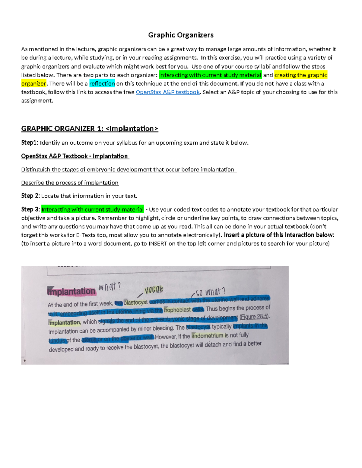 Graphic-organizers-assignment Emily Shepherd - Graphic Organizers As ...