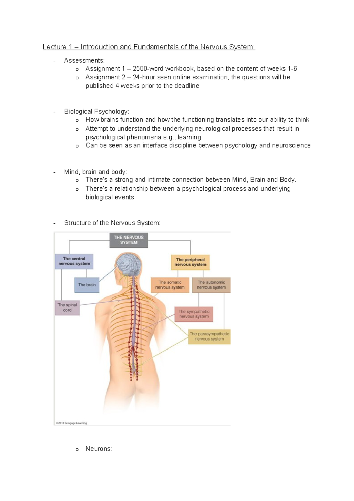 Introduction and Fundamentals of the Nervous System - Lecture 1 ...