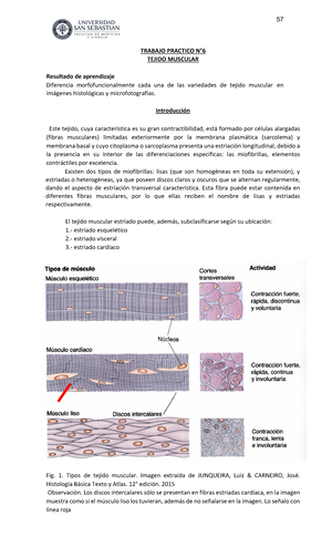 Labhisto-04-2020 - Warning: TT: undefined function: 32 Warning: TT: undefined function: 32 ...