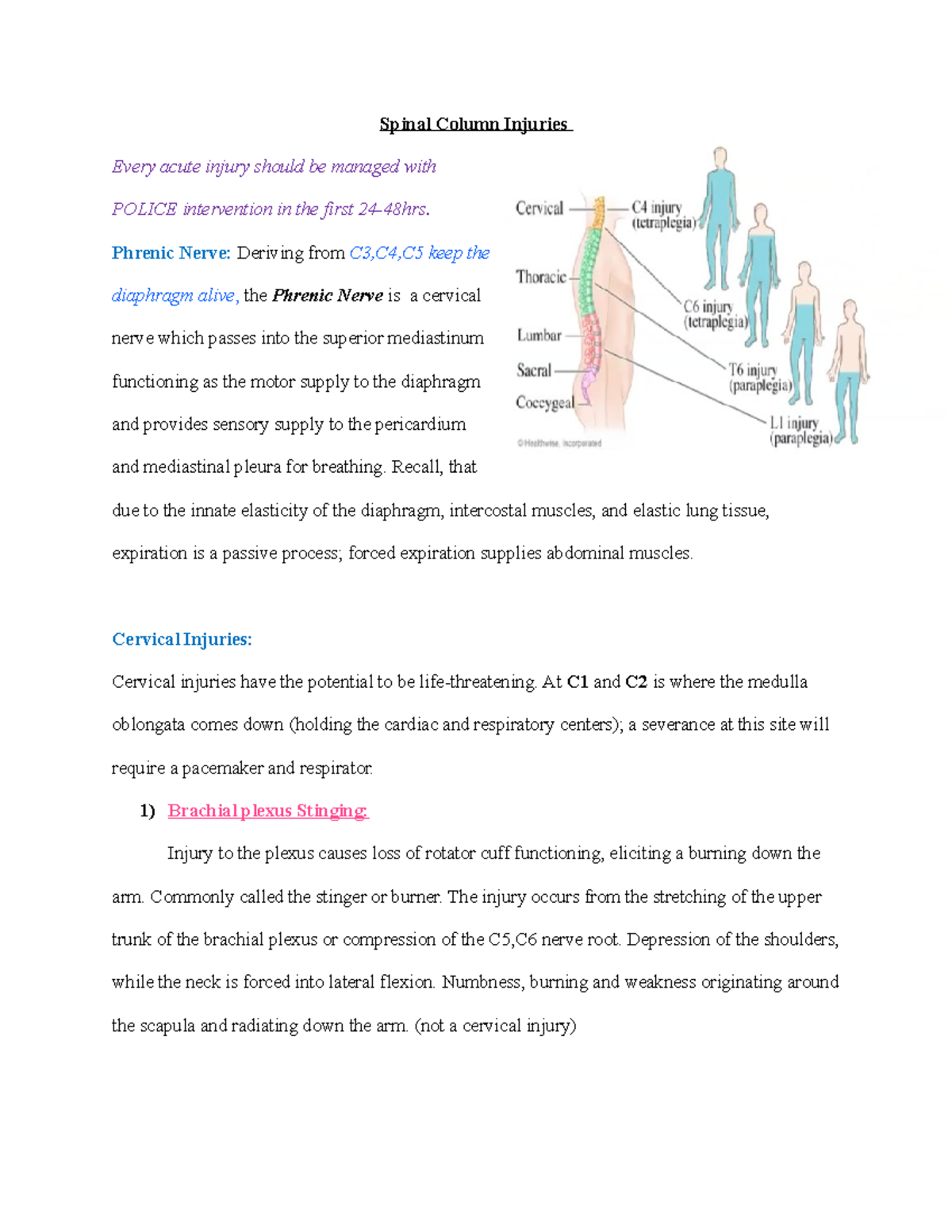 Spinal Column Injuries - Spinal Column Injuries Every acute injury ...