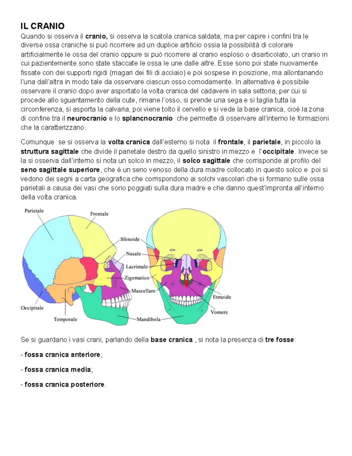 Lezione 19 ottobre 2020 (I parte) - IL CRANIO Quando si osserva il cranio, si osserva la scatola ...