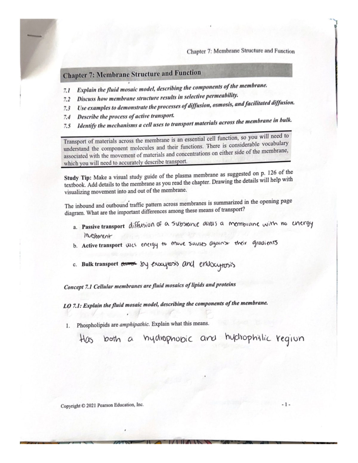 Chap 7 study material - textbook questions for chapter 7 of biology 1 ...