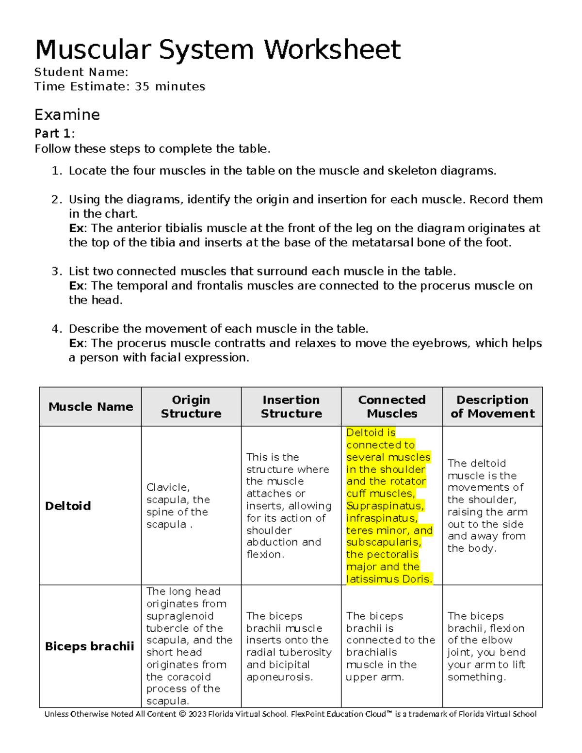 honers ela 32bw - Muscular System Worksheet Student Name: Time Estimate ...