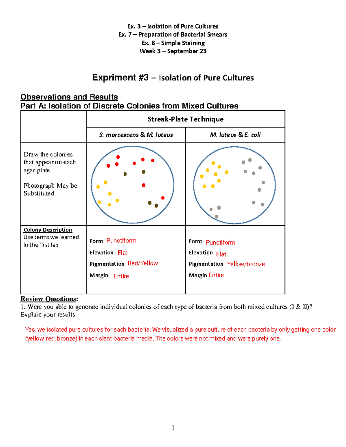 Lab report 3,7 and 8 - Ex. 3 – Isolation of Pure Cultures Ex. 7 ...