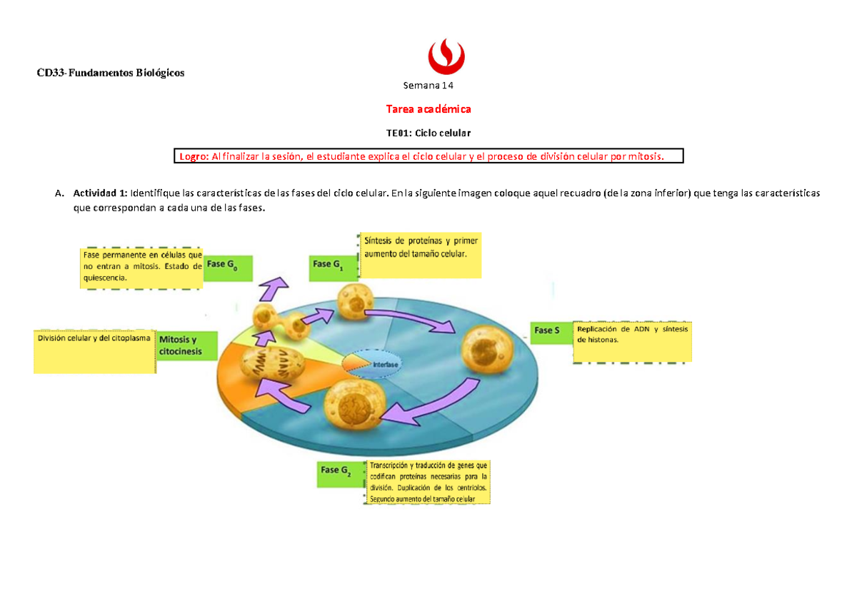 Semana 14 (FB) tarea academica - Procesos Biológicos - UPC - Studocu