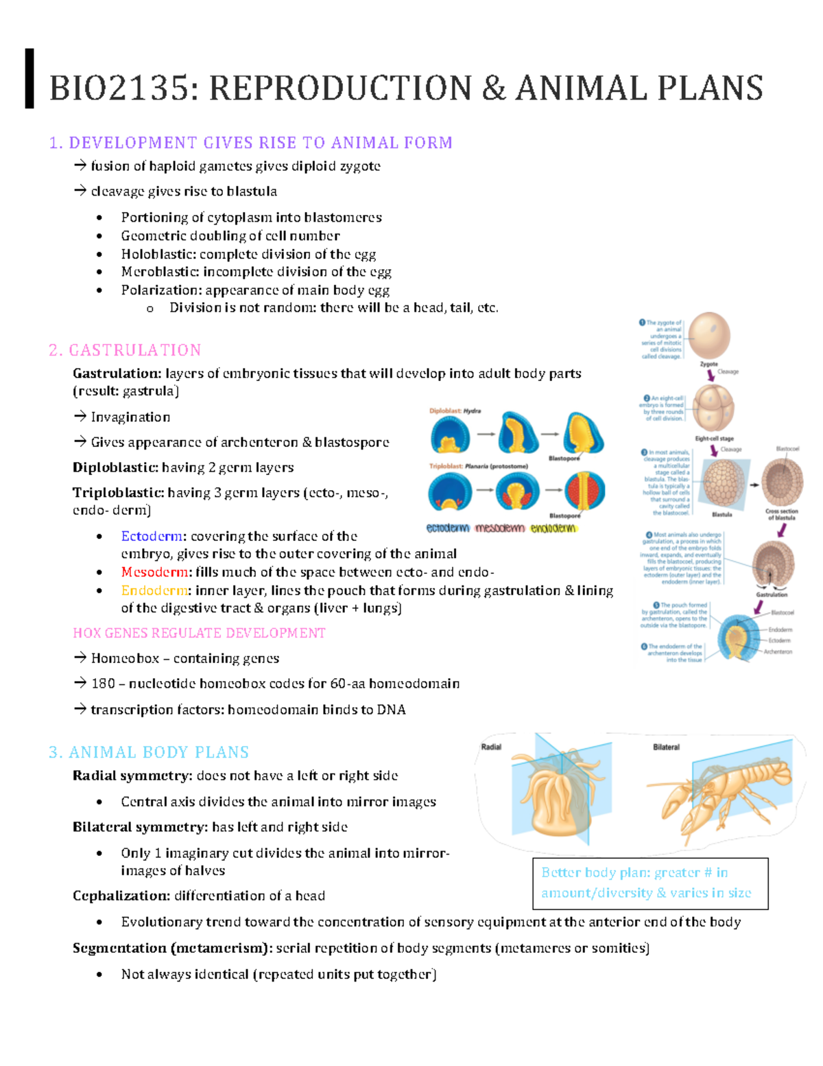 BIO2135 Lecture 2 - Reproduction - BIO2135: REPRODUCTION & ANIMAL PLANS ...
