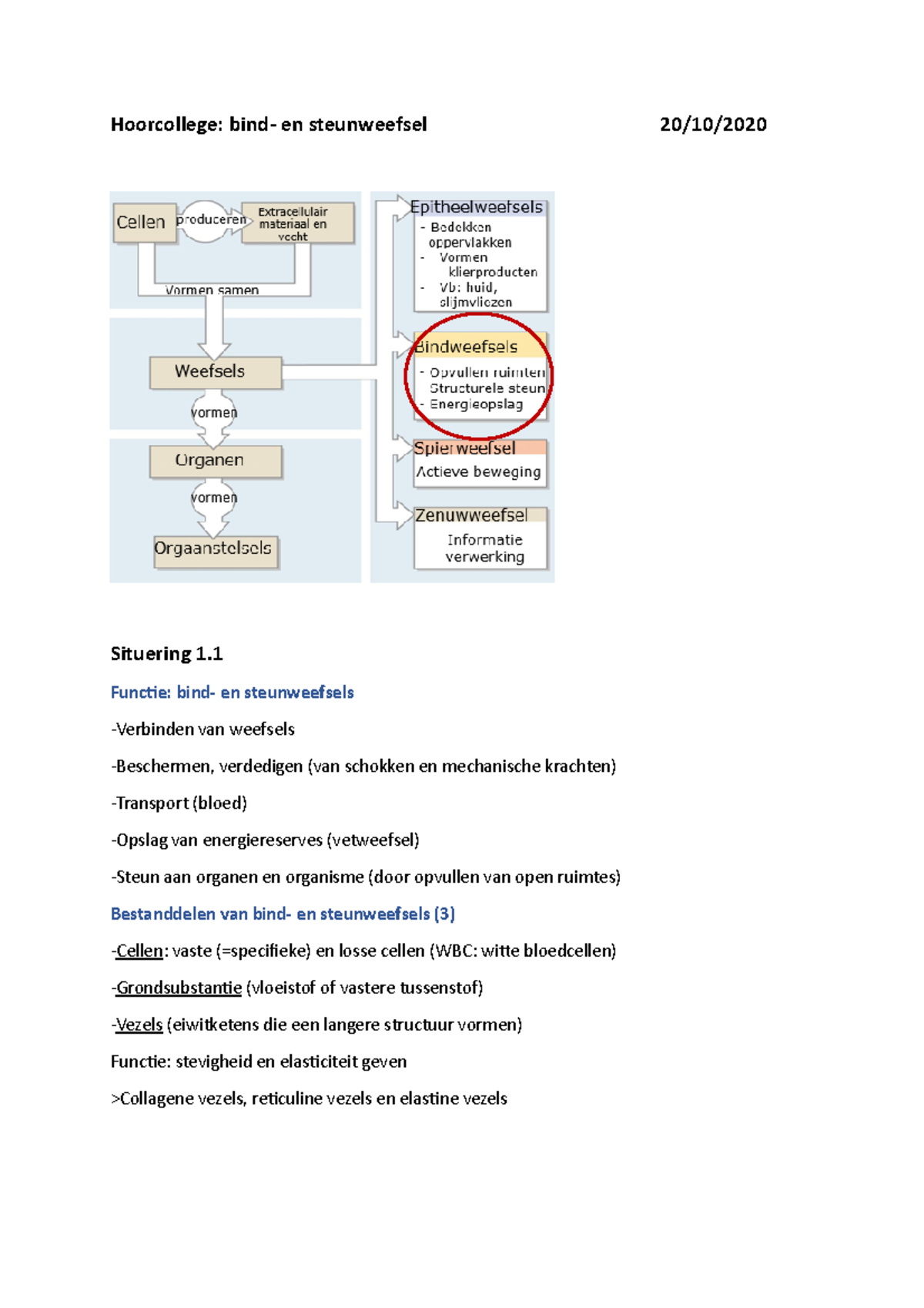 Hoorcollege bind en steunweefesel en botvorming - Hoorcollege: bind- en ...