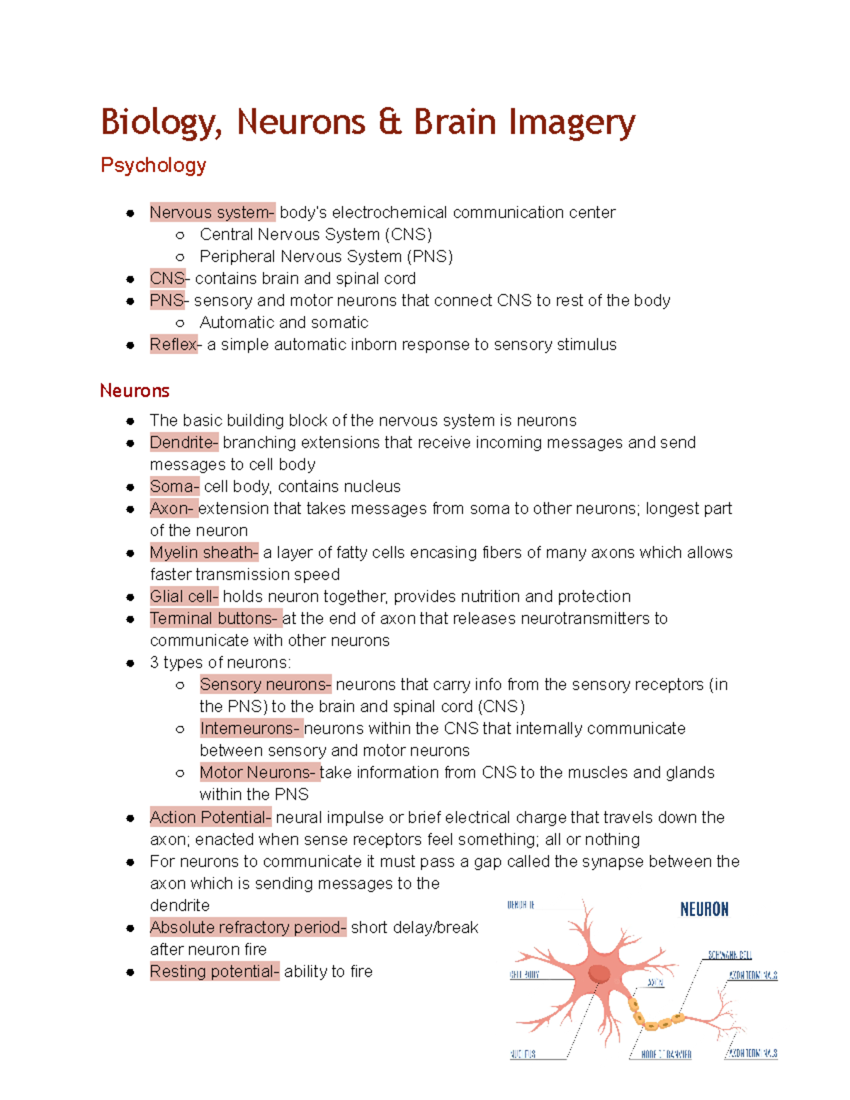 Psychology: Biology, Neurons and Brain Imagery - Biology, Neurons ...