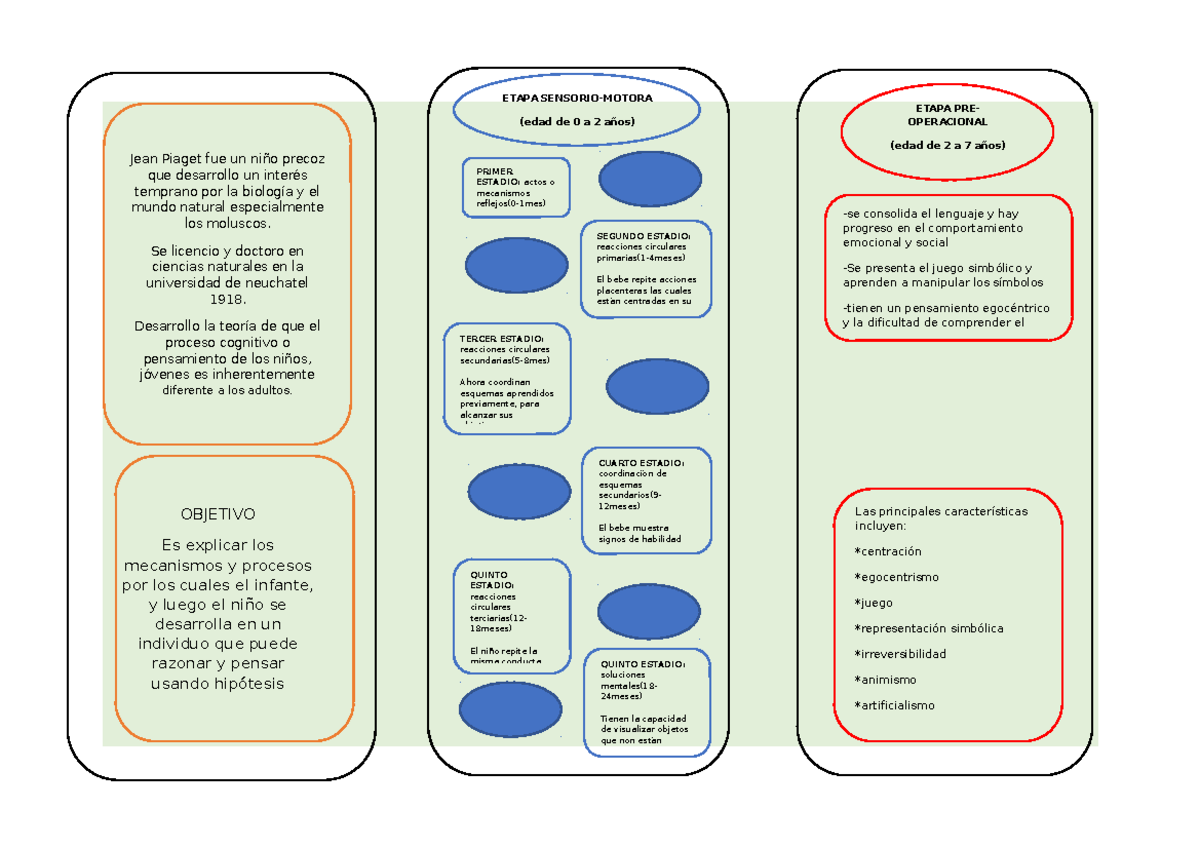 Etapas de la teoria de piaget - ETAPA SENSORIO-MOTORA (edad de 0 a 2 ...