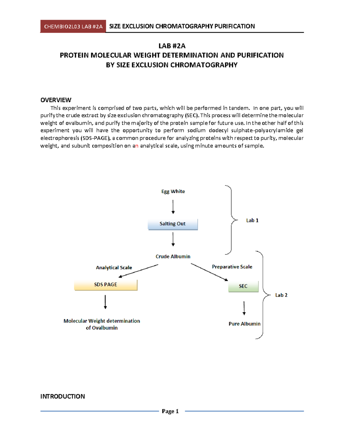 Chemical Biology 2L03 Lab #2A SEC Protein Purification - LAB #2A ...
