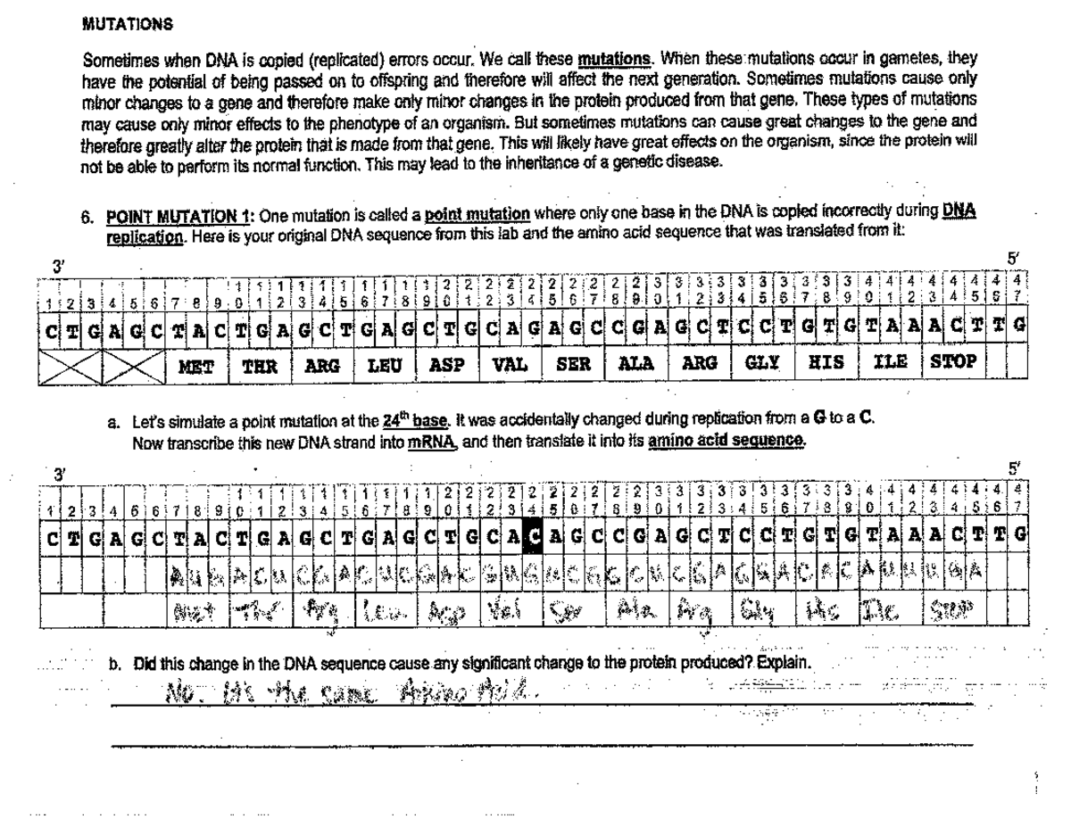 Mutations Lab-Jesus Anaya - MUTATIONS Somefirnes when DNA is copied ...