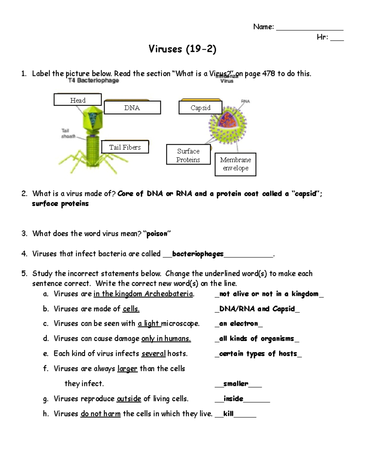 19-2 virus worksheet KEY - Name: _______________ Hr: ___ Viruses (19-2 ...