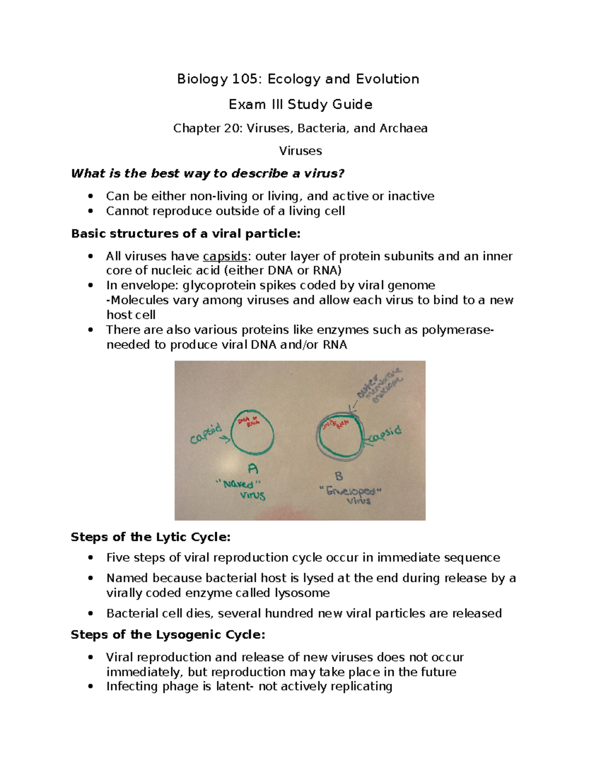 Exam III Study Guide - Biology 105: Ecology and Evolution Exam III ...