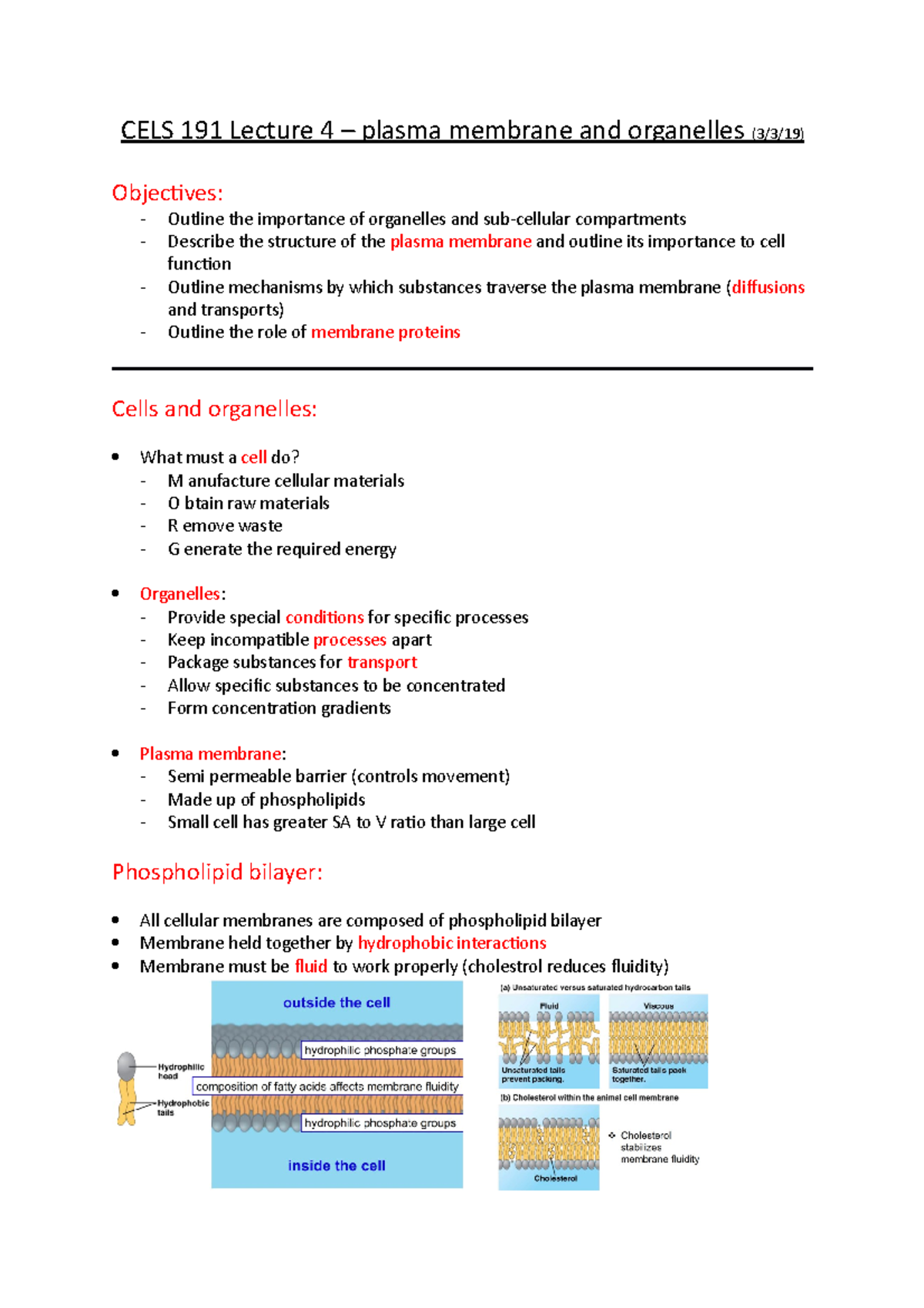 CELS 191 Lecture 4 - CELS191, scored . 97% average - CELS 191 Lecture 4 – plasma membrane and ...