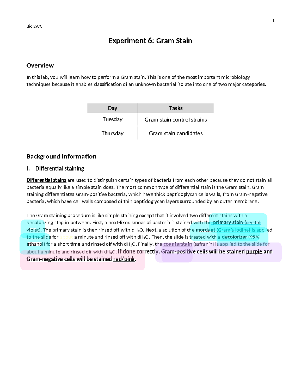 Experiment 6 - Bio 2970 Experiment 6: Gram Stain Overview In this lab ...