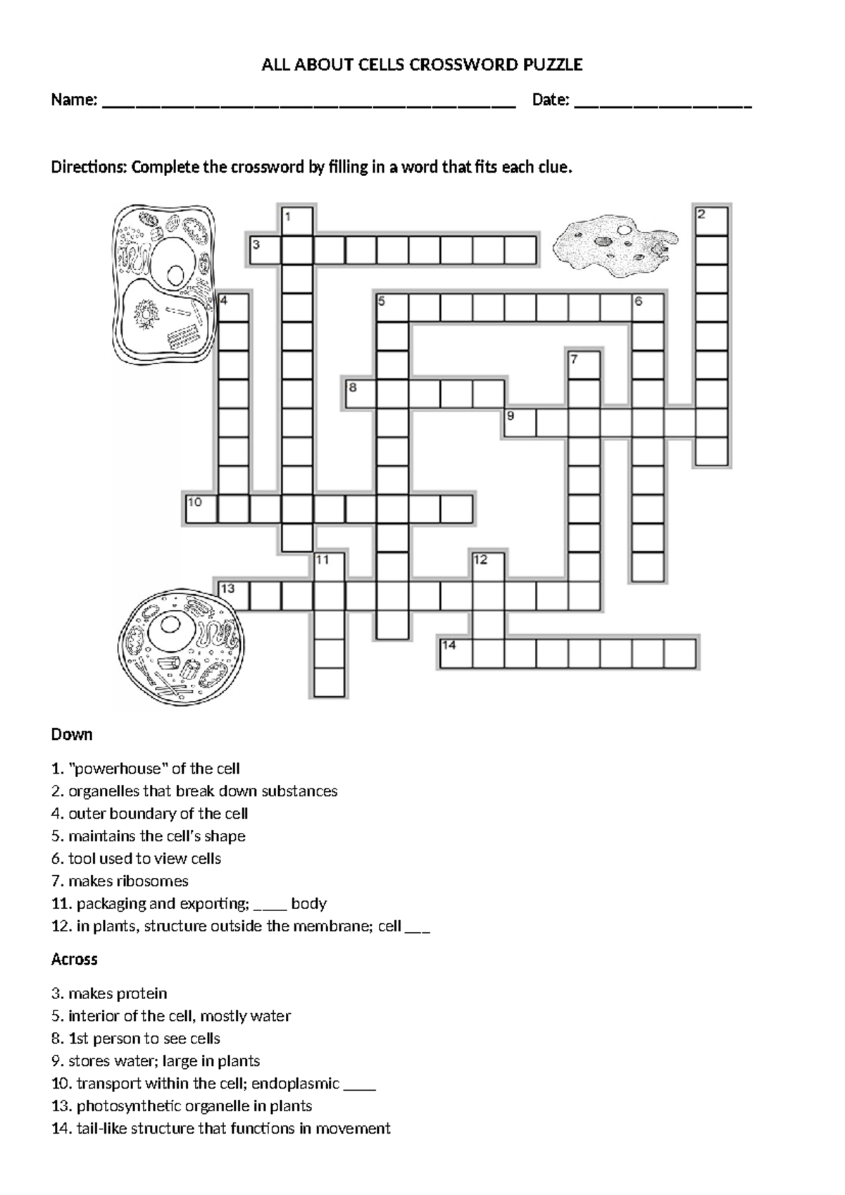 ALL About Cells Crossword Puzzle - ALL ABOUT CELLS CROSSWORD PUZZLE ...