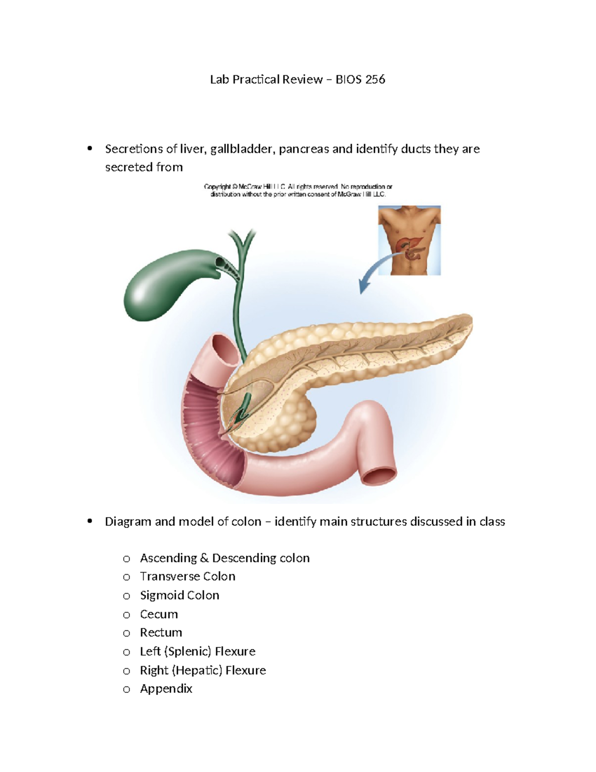 BIOS256 Lab Practical Review - Lab Practical Review – BIOS 256 ...