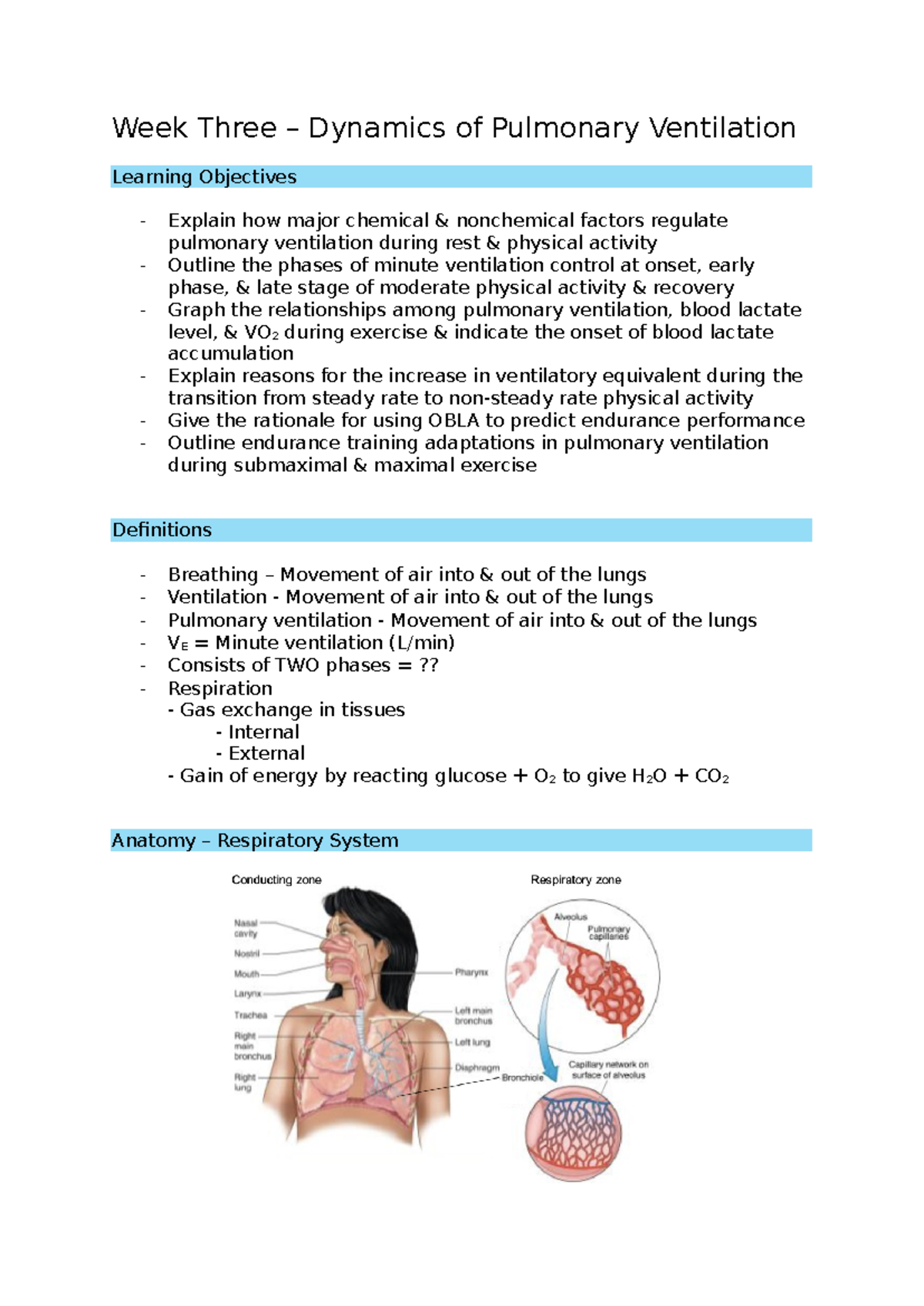 Week Three Exercise Physiology - Week Three – Dynamics of Pulmonary ...