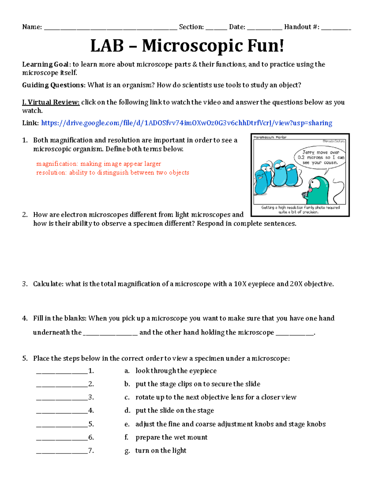 1. LAB - Microscopic Fun.docx - Google Docs - Name: - Studocu