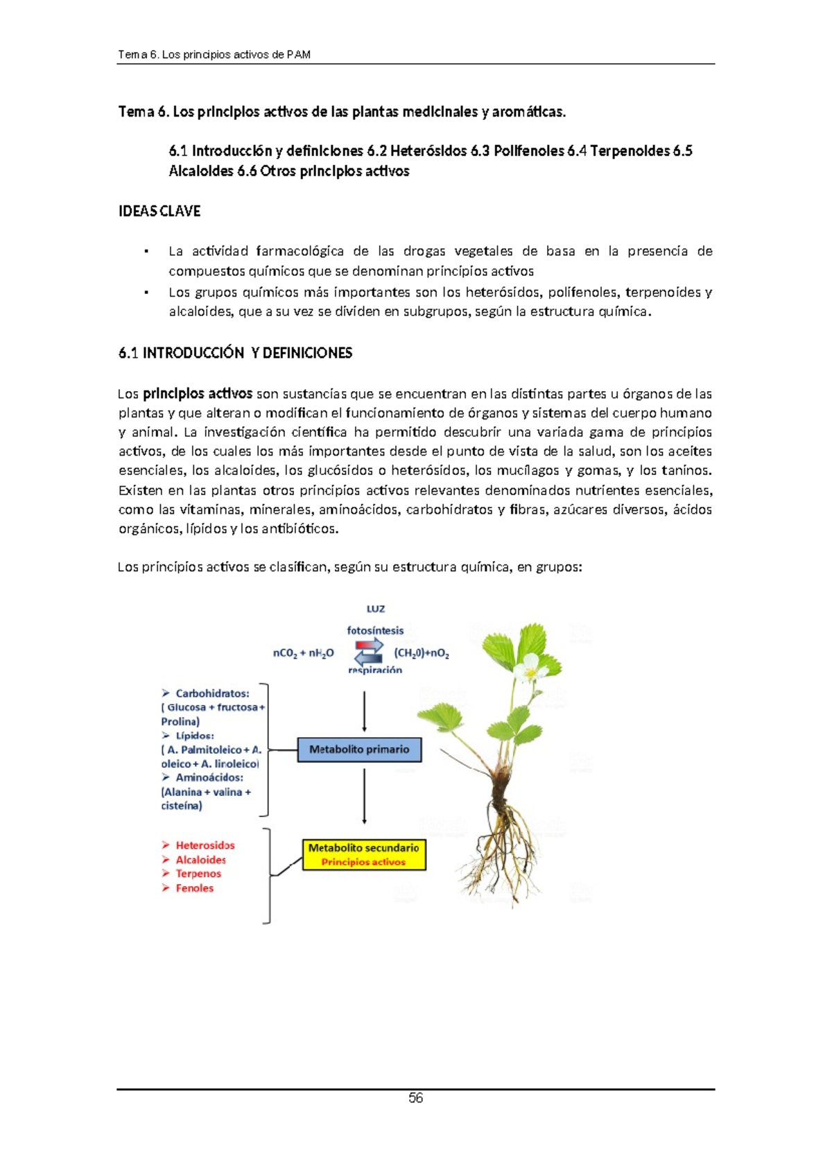 Tema principios activos PM (10) Doc. 2 - Tema 6. Los principios activos de PAM Tema 6. Los - Studocu