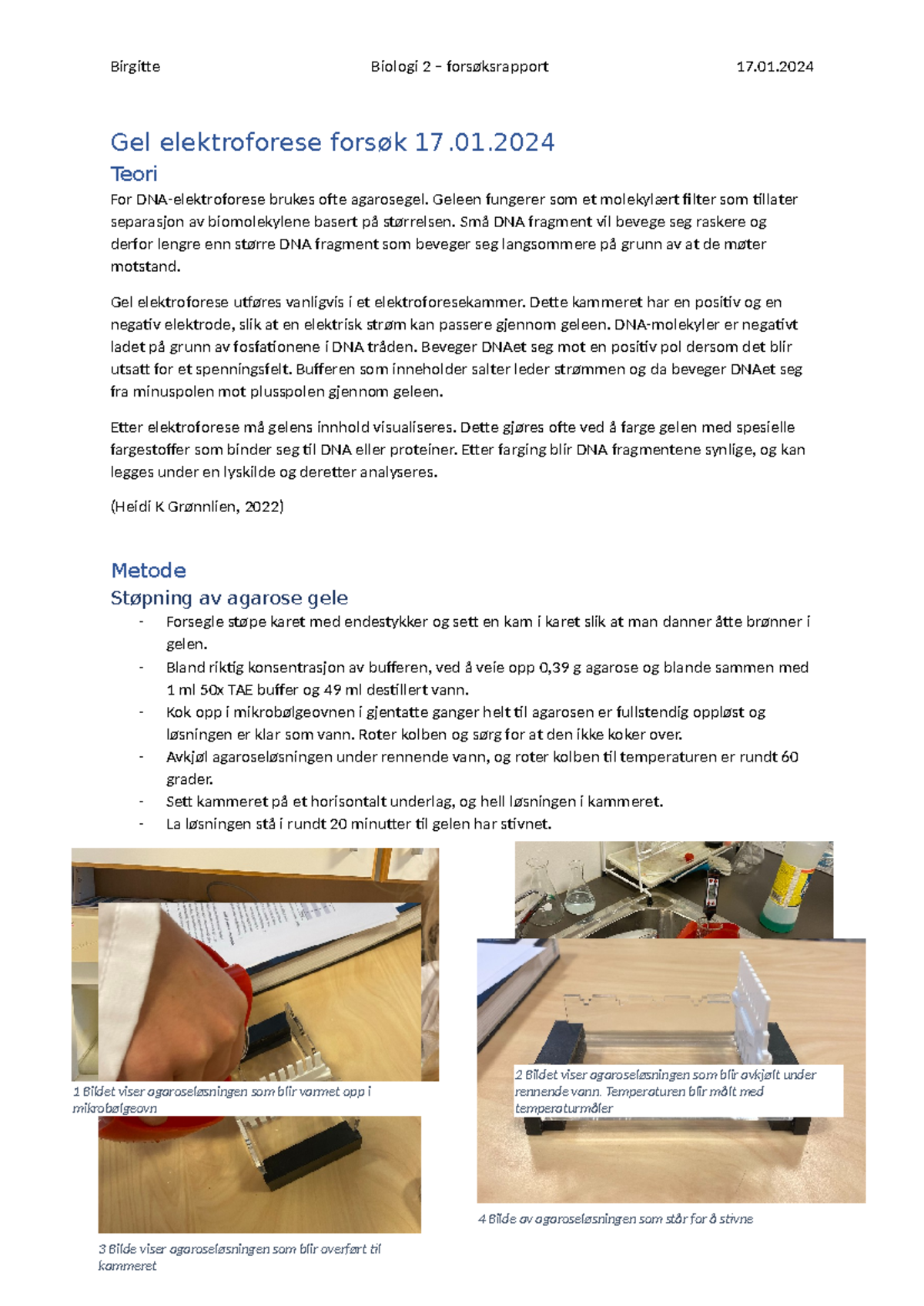 Gel elektroforese forsøk - Teori For DNA-elektroforese brukes ofte agarosegel. Geleen fungerer ...