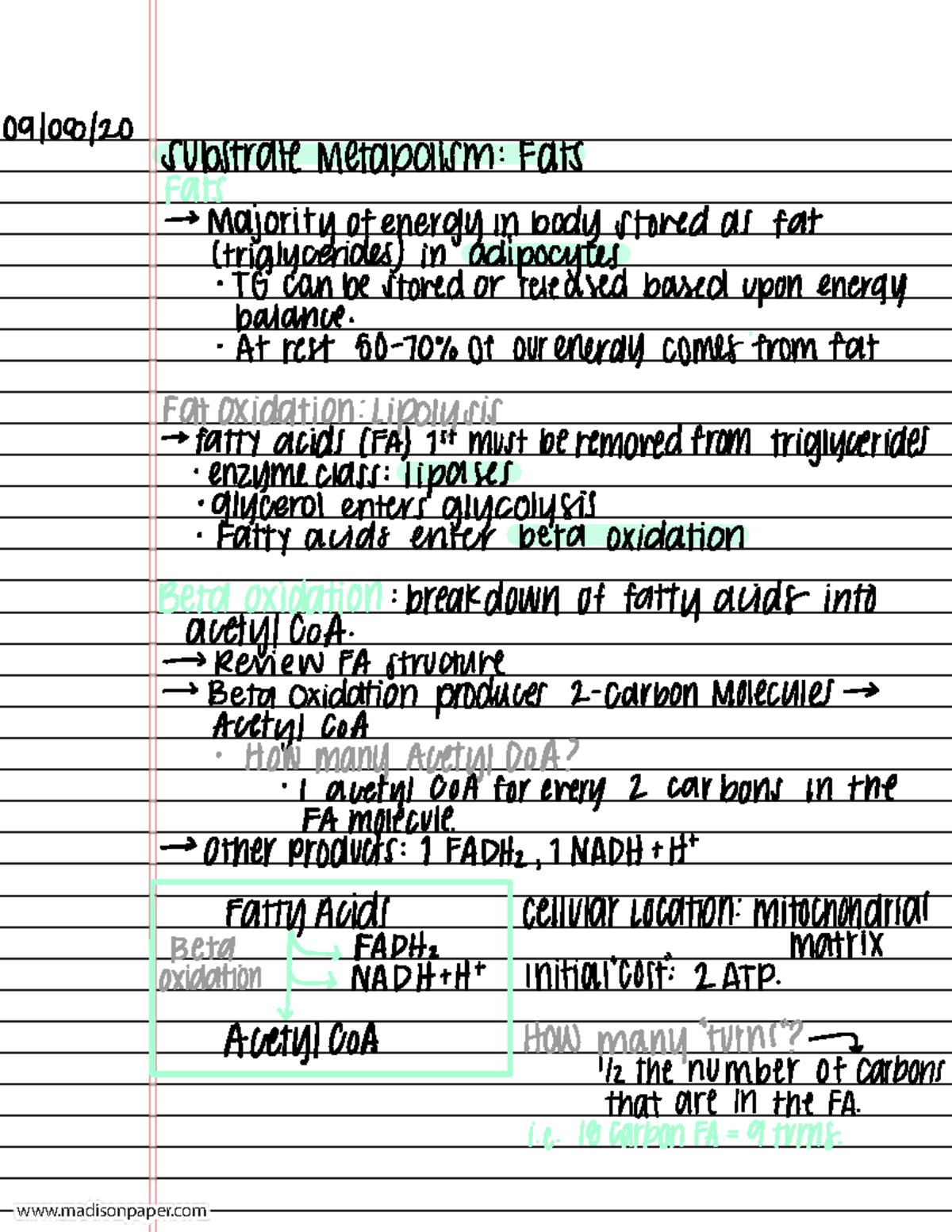 2020-Human Physiology-Lecture Notes 21 - madisonpaper 09100120 ...