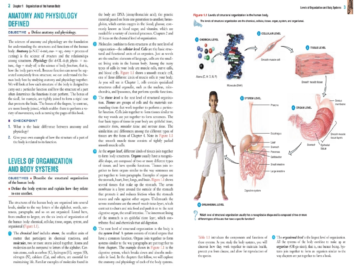 Anatomy Reviewer - Summary Foundation of Physical Fitness - Studocu
