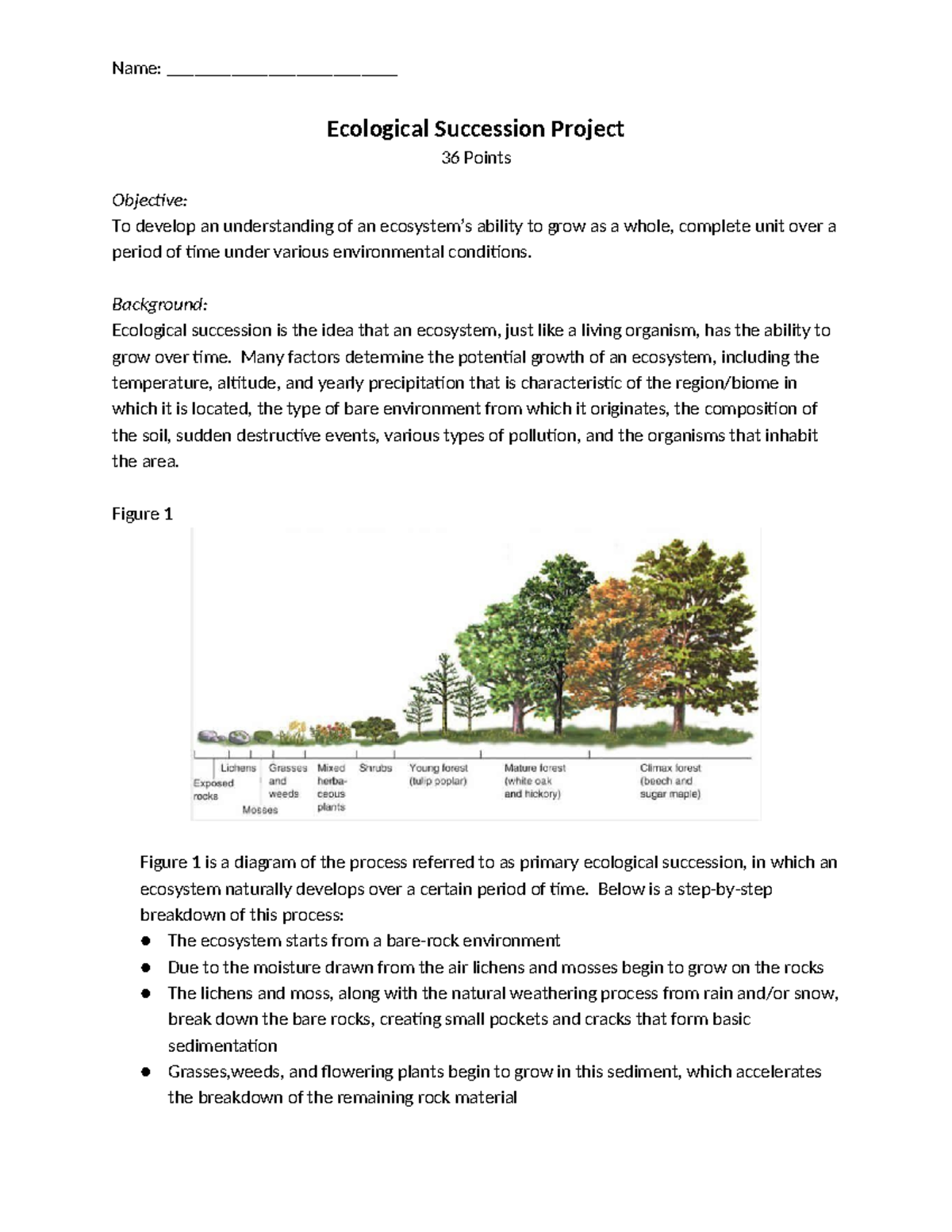 Royal Brown - WS - Online Succession Project - Ecological Succession ...