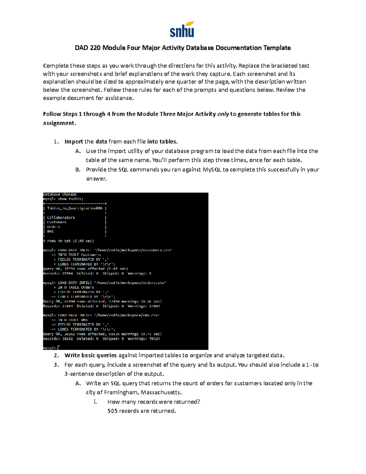 Dad 220 Module Four Major Activity Database Documentation Template 